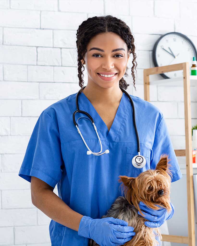 Meet the Team – Veterinarians in East Setauket, NY | Emergency ...